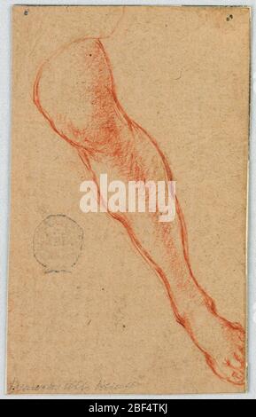 Study of the Left Leg of a Seated Woman, Red crayon on brown paper ...