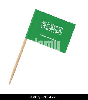 Flag of Saudi Arabia on stick figure - national and social community ...