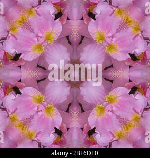 symmetrical seamless pattern of pink flowers on a green background ...