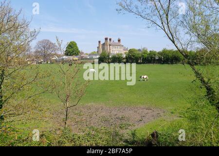 Little Preston Hall residential park and a horse field in Swillington ...