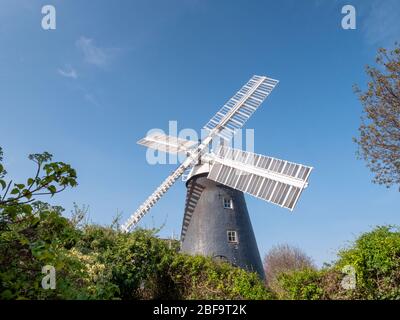 THe windmill at Swaffam Prior Cambridgeshire UK, still grinding grain ...