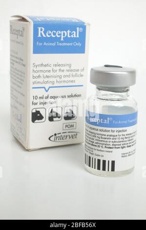 Receptal. 10ml of aqueous solution for injection Stock Photo - Alamy
