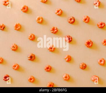 Decorative Mini pumpkins with fall dried leaves on dark old wooden ...