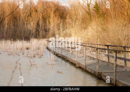 Old wood footbridge on lagoon, rural landscape Stock Photo - Alamy