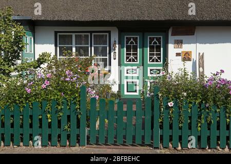 Thatched roof house in Graal-Müritz, Baltic Sea coast, Mecklenburg ...