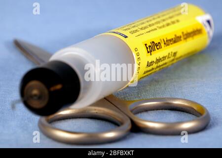 An Epipen Adrenaline Epinephrine Auto Injector for anaphylactic shock ...