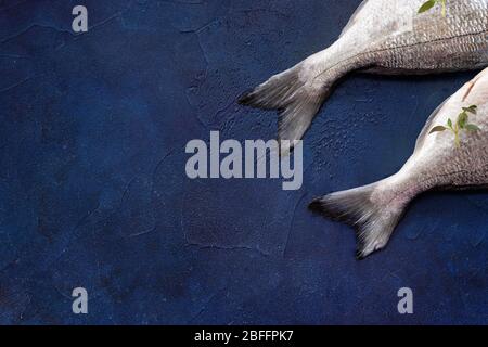 Two fins of raw sea bream fish in a black plate on black background ...