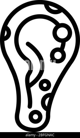Outer external part of human ear structure picture and definitions ...