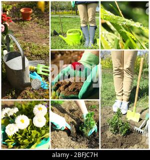 Gardening concept. Collage of tools and soil in a hands Stock Photo - Alamy