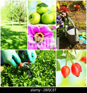 Gardening concept. Collage of tools and soil in a hands Stock Photo - Alamy