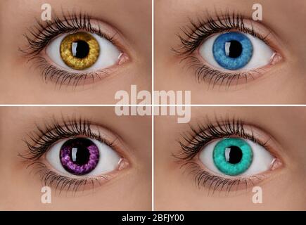 Colorful eyes collage close-up Stock Photo - Alamy