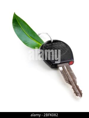 Car key with green leaf trinket isolated on white Stock Photo - Alamy