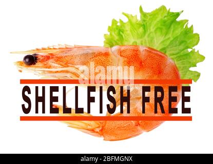 Shrimp and shellfish allergy health concept and allergic to crustacean ...