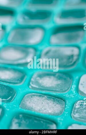 ice cubes in green silicone mold Stock Photo - Alamy
