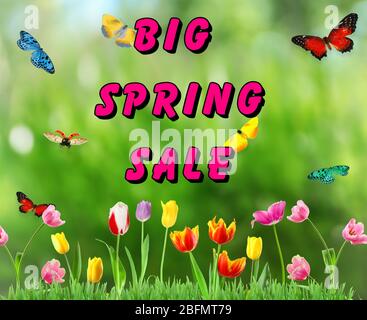 Super Summer Sale promotion decoration with nautical marine ornament on ...