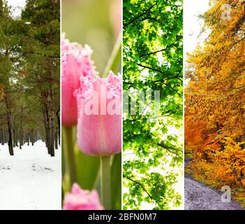 Different seasons of the year - several photos of beautiful nature ...