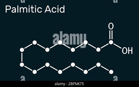 Palmitic acid or hexadecanoic, C16H32O2 molecule. It is saturated fatty ...
