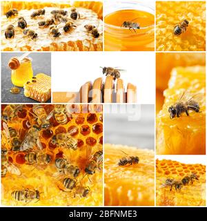 Collage with busy honey bees Stock Photo - Alamy
