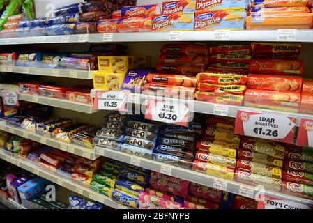 A vertical shot of a ginger fox on a rocky ground Stock Photo - Alamy