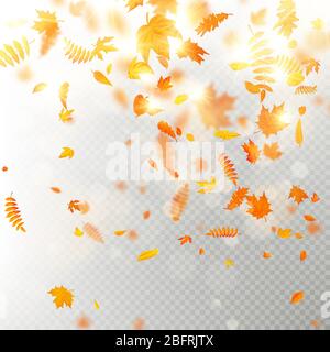 Effect of autumn falling leaves layer with shallow DOF blur. Autumnal ...