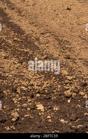 Rice field in April, Isehara City, Kanagawa Prefecture, Japan Stock ...