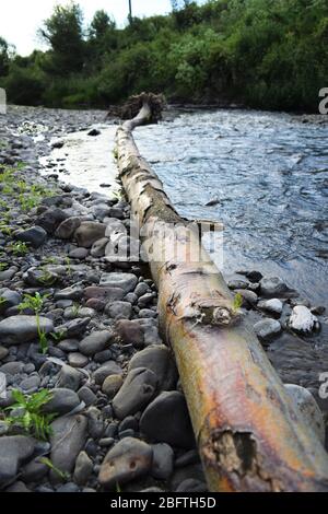 Tree fallen over a stream Stock Photo - Alamy