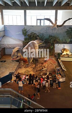 Details of T-Rex dinosaur at 'Saint Louis Science Center' combines ...
