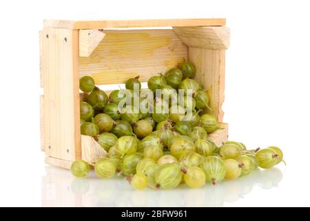 Green gooseberry in crate isolated on white Stock Photo - Alamy