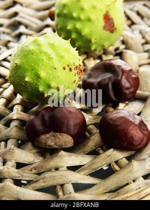 green chestnuts on wicker background Stock Photo - Alamy