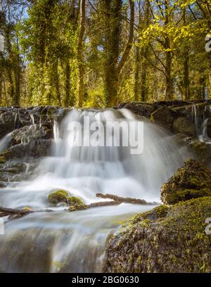 Dun na Ri Forest Park, County Cavan ,Ireland Waterfall Stock Photo - Alamy