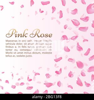 flying sakura petals. Shiny Flower decoration on transparent black png ...