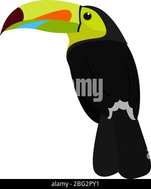 Vector illustration of a toucan silhouette isolated on a white ...