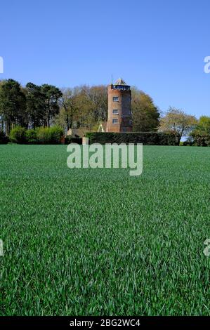 Wheat field, Norfolk, England Stock Photo - Alamy