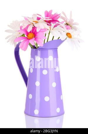 Beautiful daisies in colorful pitcher isolated on white Stock Photo - Alamy