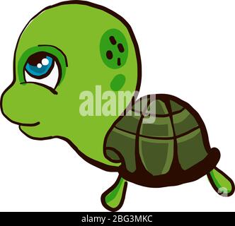 Cute old turtle, illustration, vector on a white background Stock ...