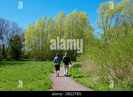 Howden Marsh, a local nature reserve in Howden, East Yorkshire, England ...