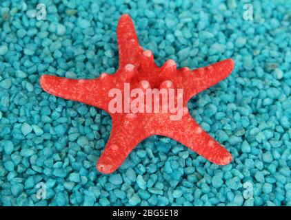 Starfish on blue crystals of sea salt background Stock Photo - Alamy
