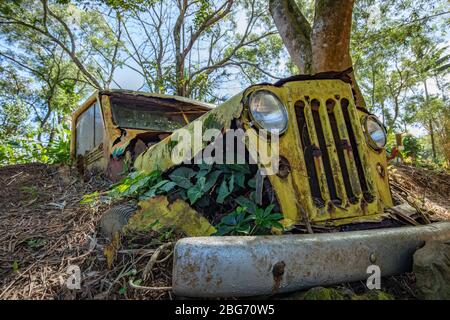 Old yellow jeep planter in Maui Hawaii Stock Photo - Alamy