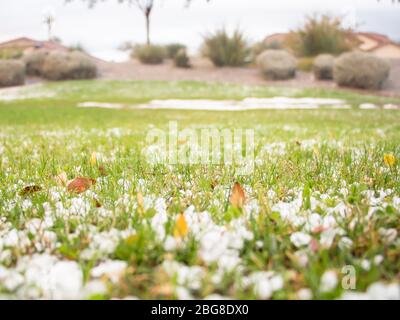 Hail Storm in Arizona Desert Stock Photo - Alamy