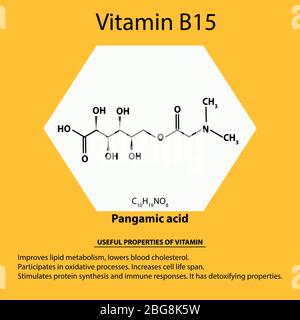 Vitamin B15 chemical formula. Vitamin B15 chemical molecular structure ...