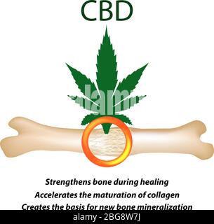 Health effects of Cannabis Infographic Stock Vector Image & Art - Alamy