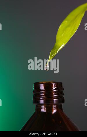 Drop falling from leaf on green background Stock Photo - Alamy