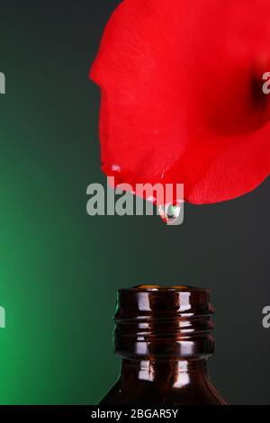 Drop falling from rose petal on green background Stock Photo - Alamy