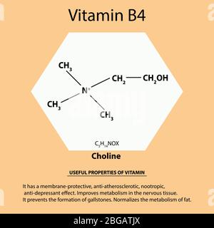 Vitamin b4. Vitamin B4 Icon structure. Vector illustration Stock Vector ...