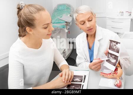 gynecology, folliculometry results. Pregnancy planning, dominant ...
