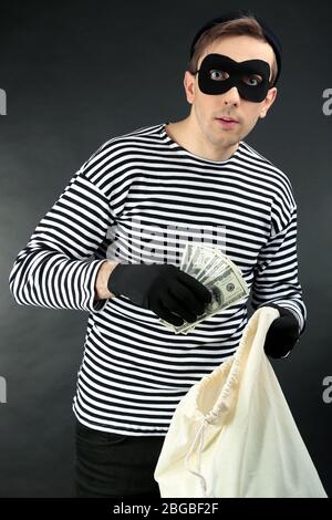 The hacker with sack of money Stock Photo - Alamy