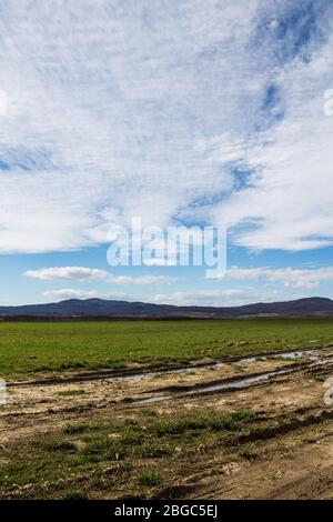 Small puddle on agricultural field and meadow with colorful trees at ...