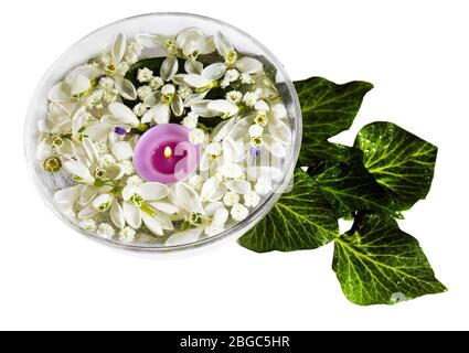 Beautiful snowdrops and candle in glass bowl with water, on purple ...