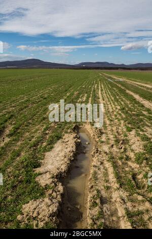 Small puddle on agricultural field and meadow with colorful trees at ...