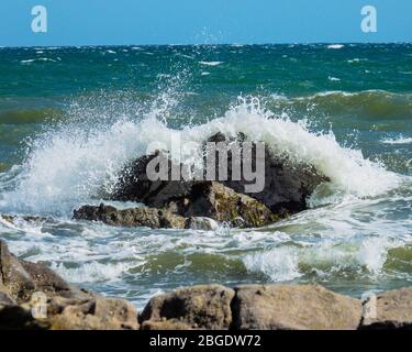 Foamy water with seaweed on a sea beach Stock Photo - Alamy